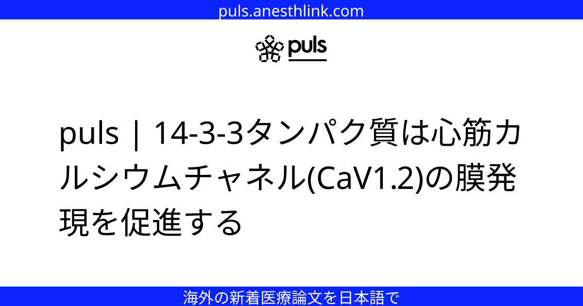 puls | 14-3-3タンパク質は心筋カルシウムチャネル(CaV1.2)の膜発現を促進する